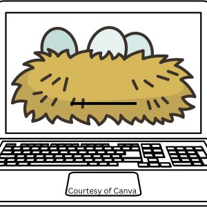 A BIRD’S NEST AND THE WRITING PROCESS | Story Empire
